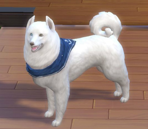 SimRay 「物を変身させる」パターン: ゆらゆらシムズ